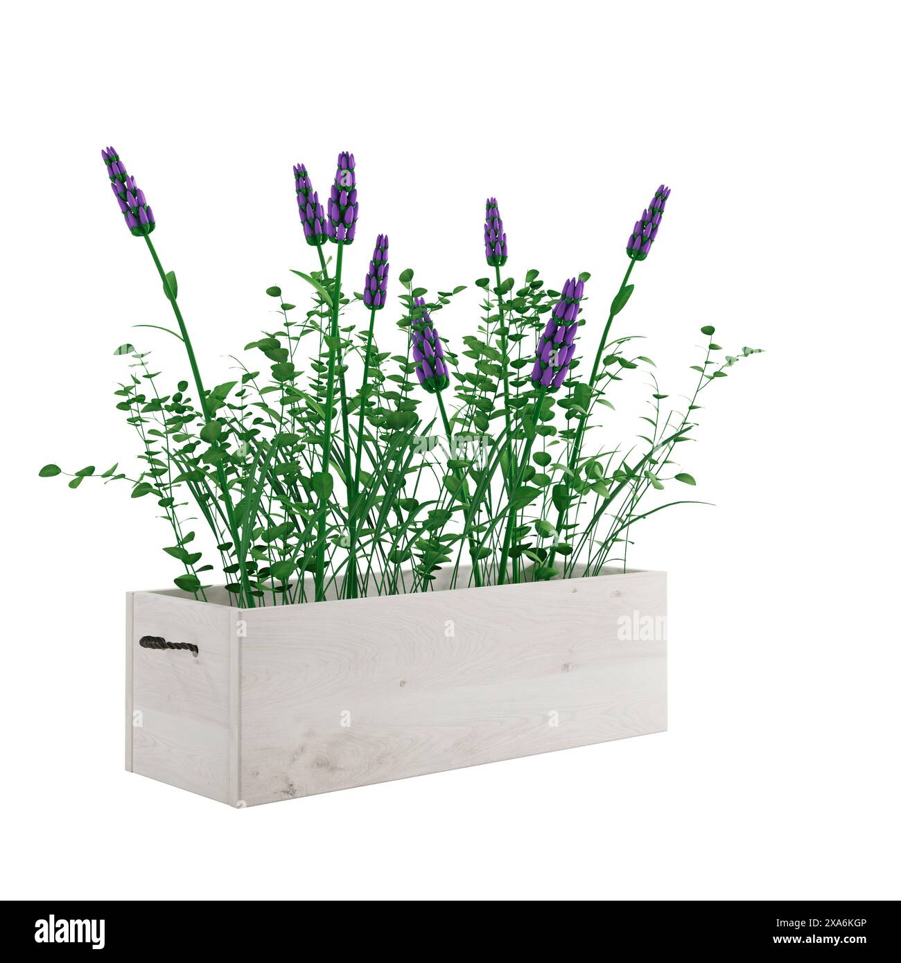 A 3D rendering of a wooden planter with colorful flowers on a clean ...