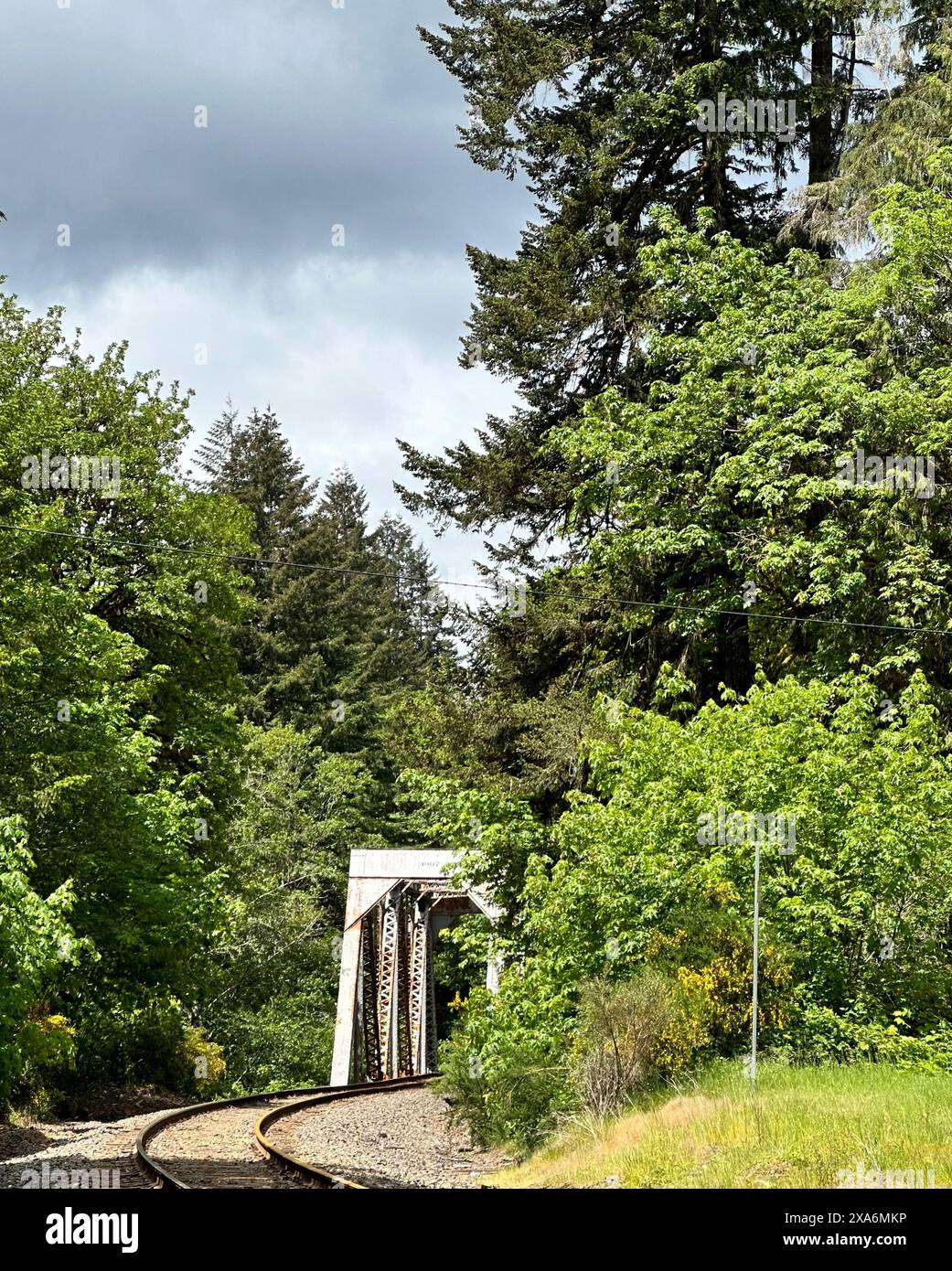 The railroad trellis in Swisshome, OR surrounded by lush green trees of ...