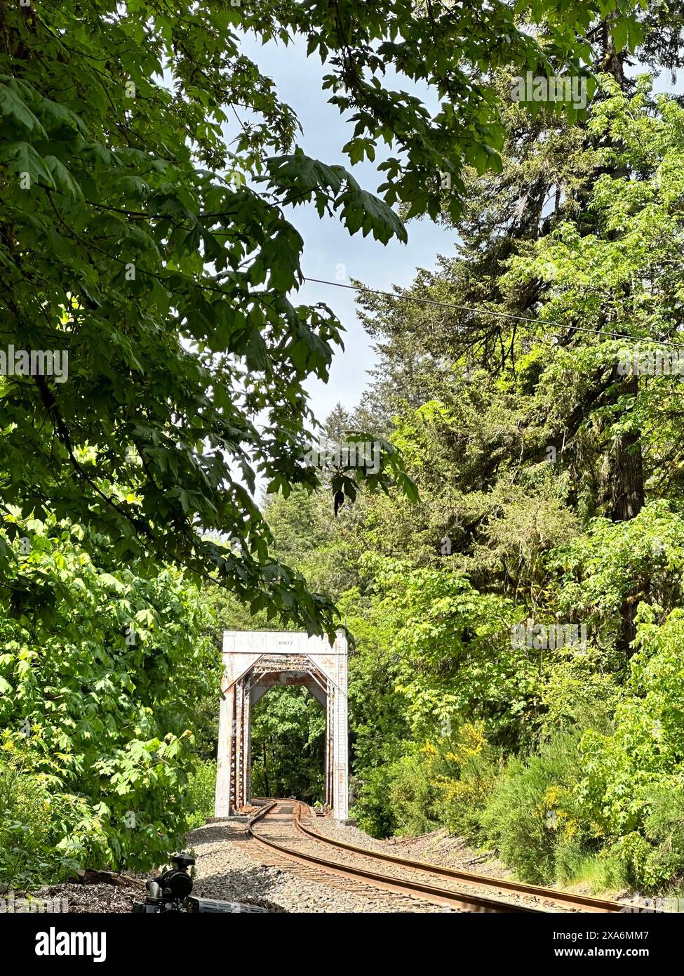 The railroad trellis in Swisshome, OR surrounded by lush green trees of ...