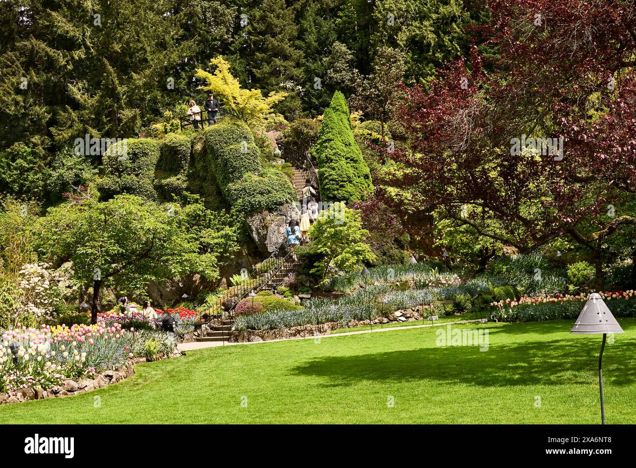 Distant view of people walking up the observatory hill in the center of ...