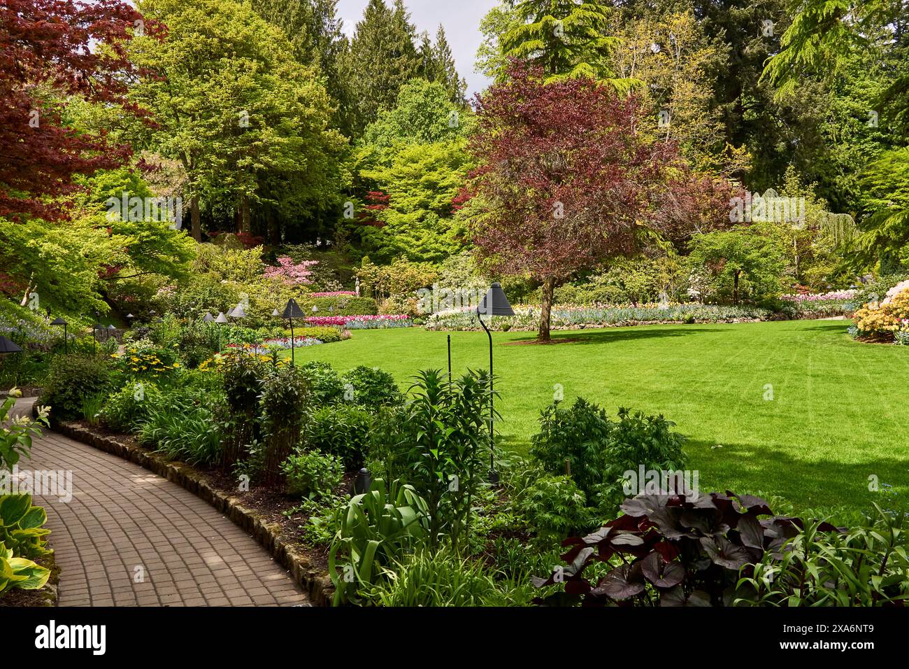 .Pathway through the colorful trees and flower beds in the sunken ...