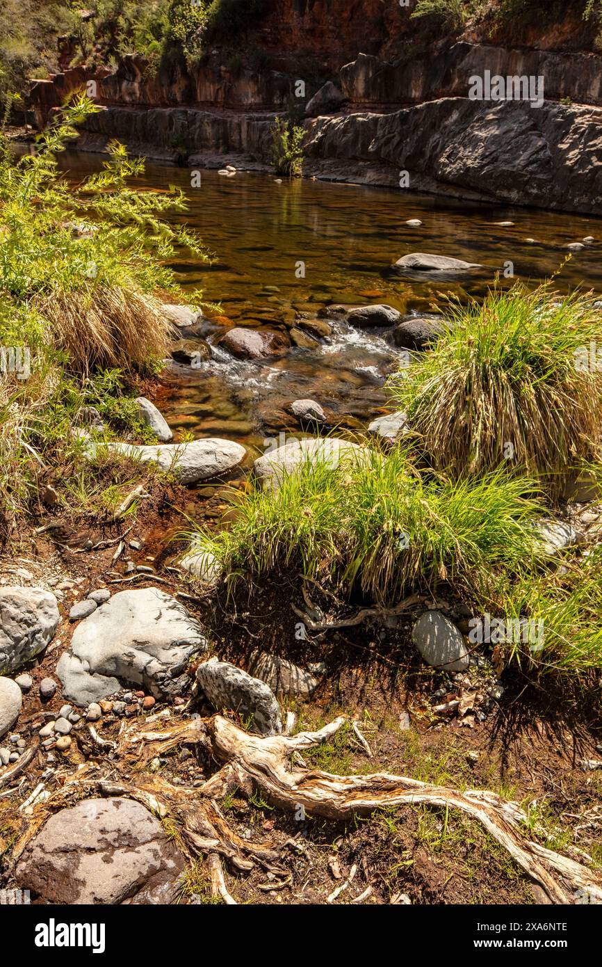 Beyond picturesque image of the underrated and alluring Grasshopper ...