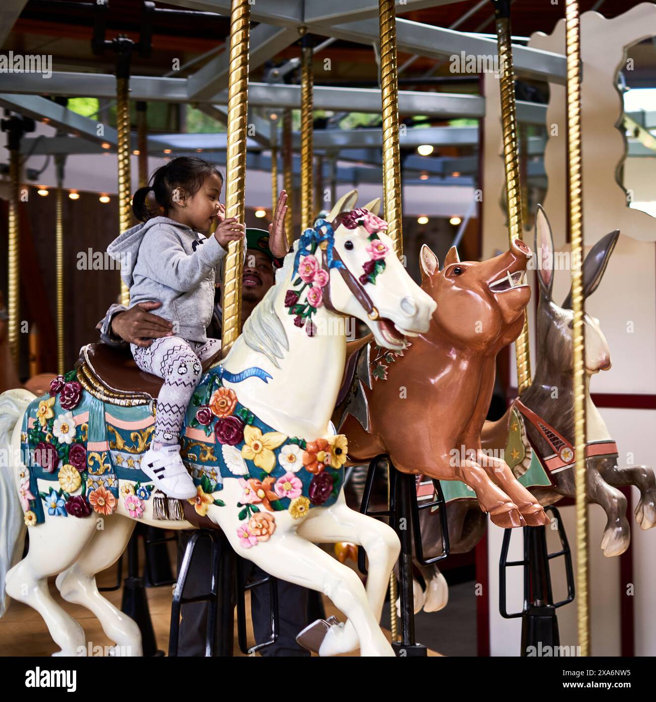 A young first nations child enjoying a ride on a white horse on the ...