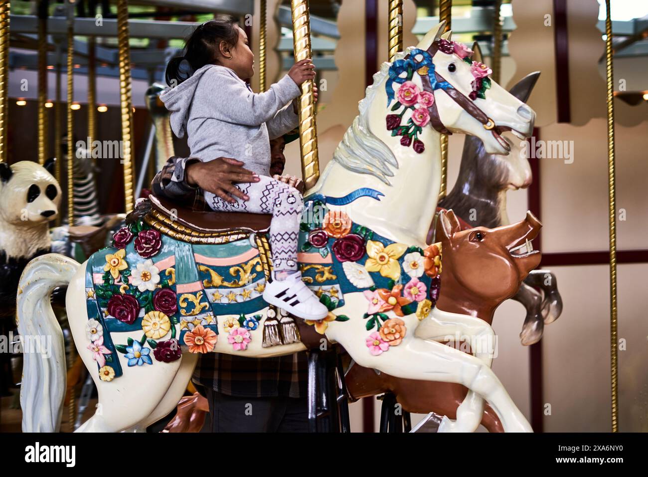 A young first nations child enjoying a ride on a white horse on the ...