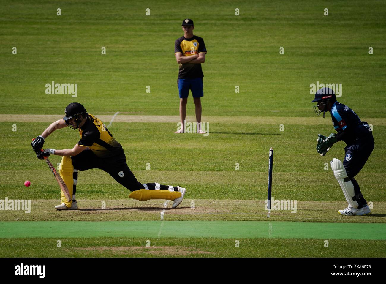 batsman playing a forward defensive shot Stock Photo - Alamy