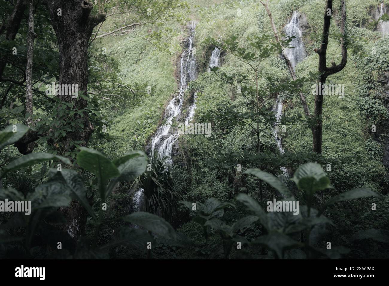A scenic view of the Anse waterfalls in Sainte-Rose, Reunion Stock ...