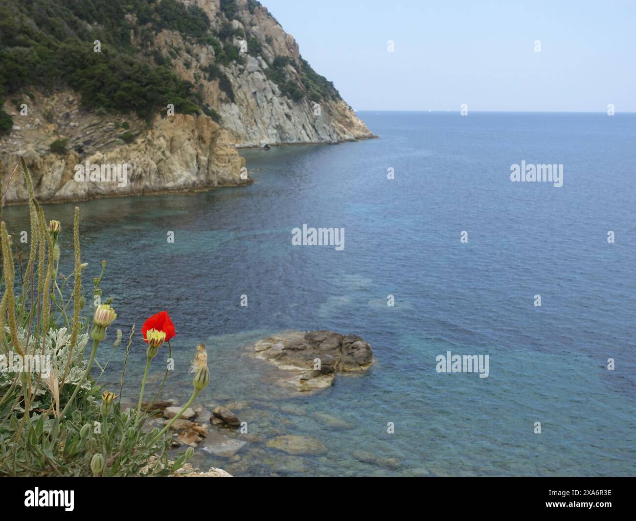 Coastal view cliff foreground hi-res stock photography and images - Alamy