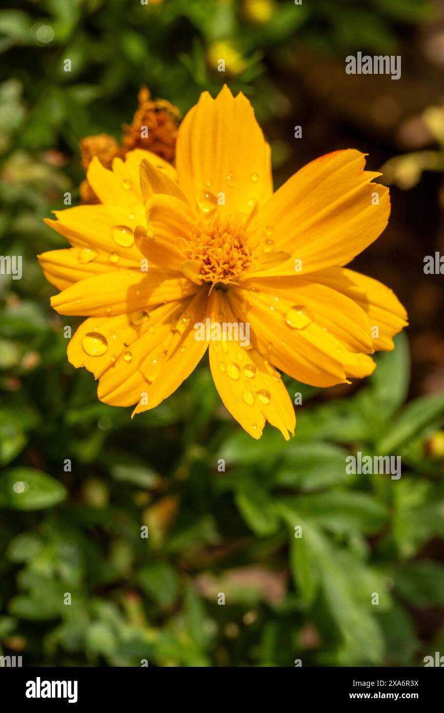 Not to be missed superb Thong Nhat Park (LeninPark), Hanoi Old Town ...