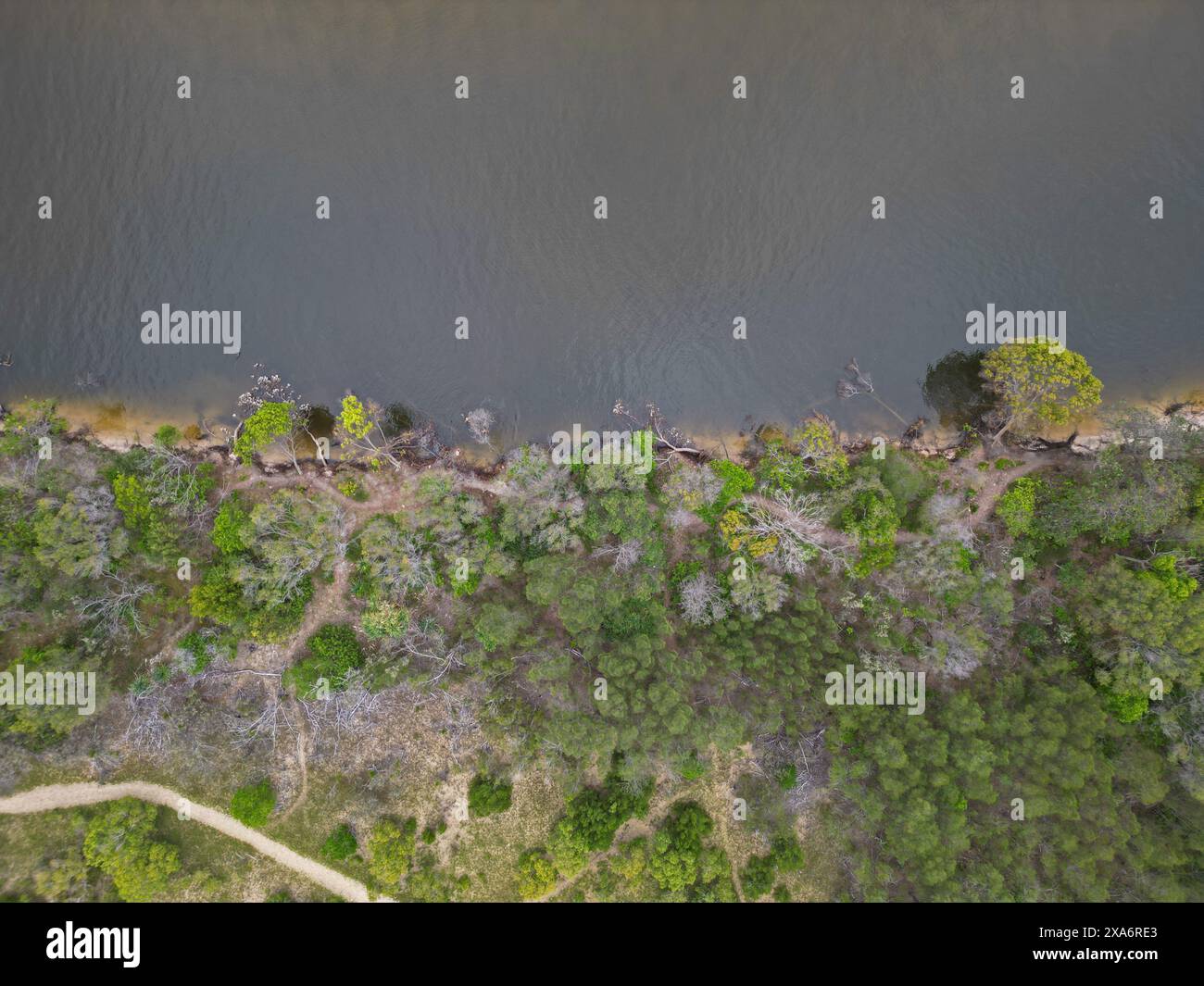 A top view of Noosa Botanic Gardens in Noosa Heads, Queensland ...