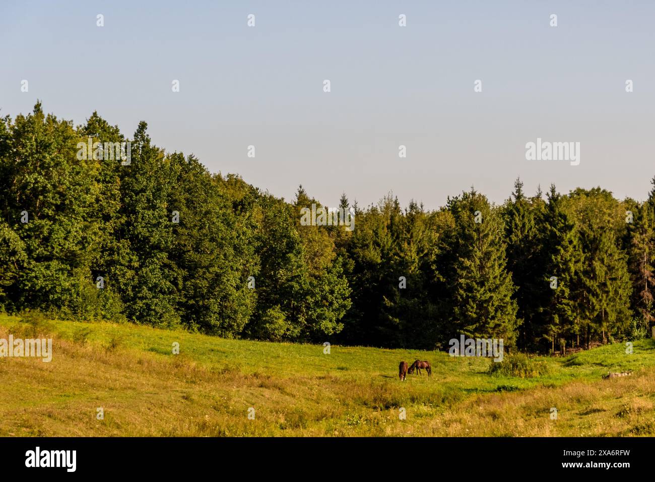 Barnova hi-res stock photography and images - Alamy