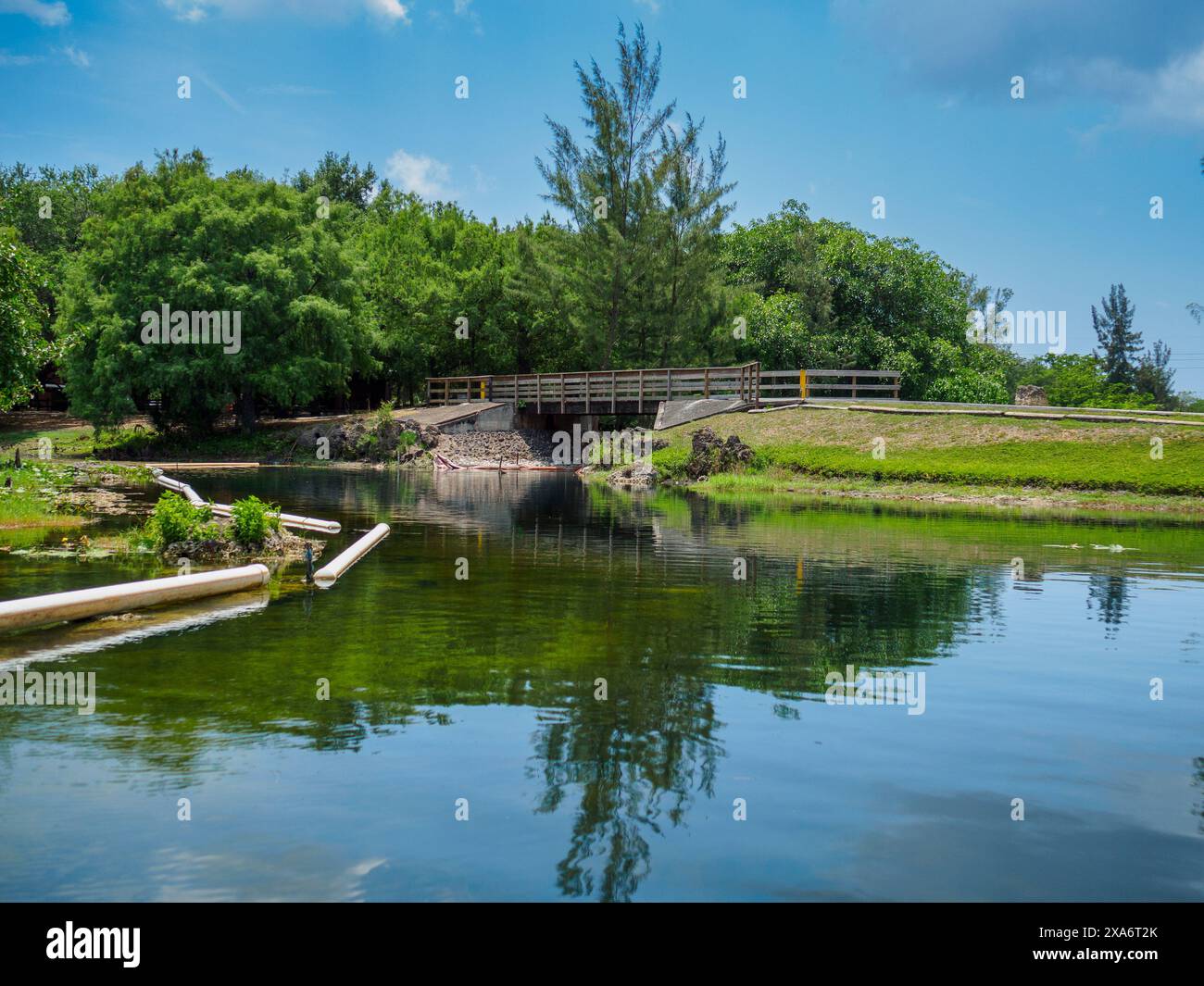 A river flows through a verdant park next to a wooden bench Stock Photo ...
