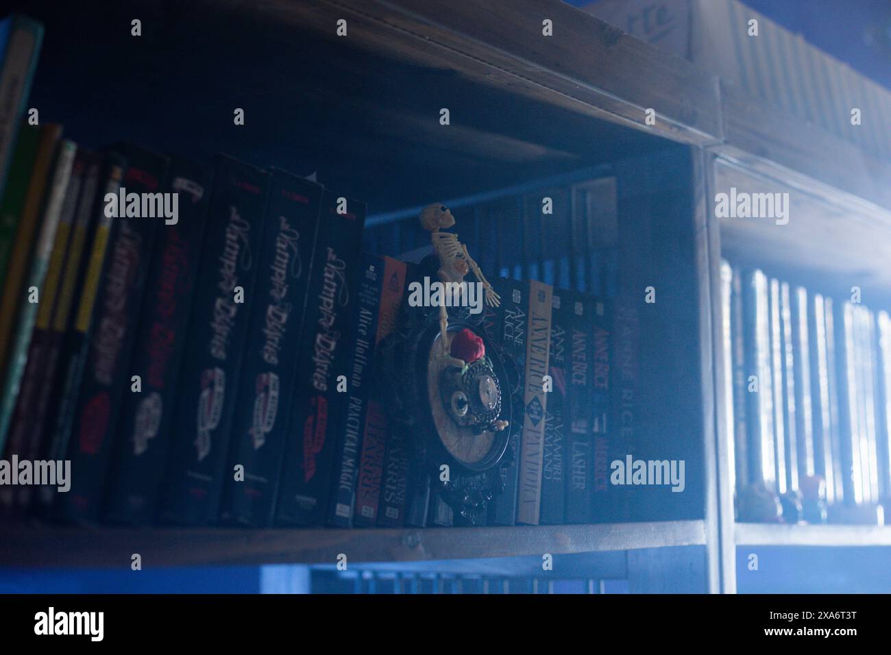 A wooden shelf with horror books on display Stock Photo - Alamy