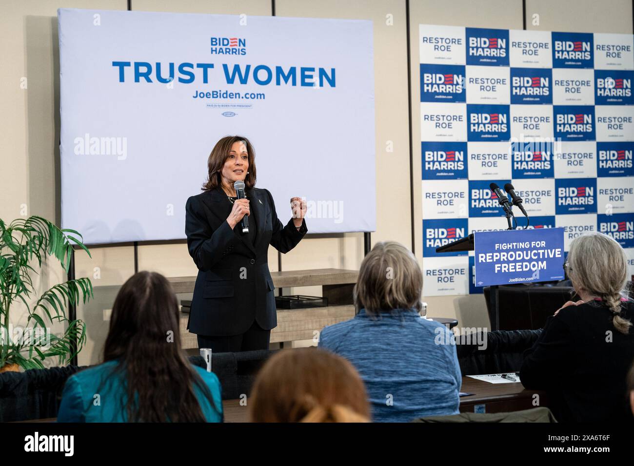 Vice President Kamala Harris speaks at an organizing event focused on ...