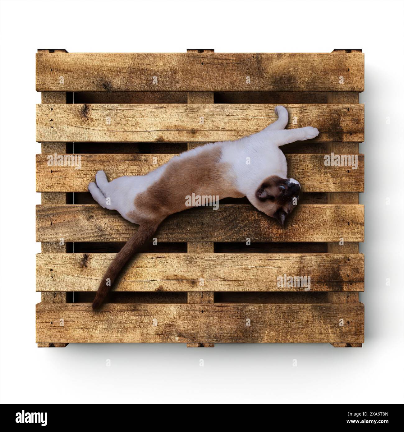 Sign on wooden box Cut Out Stock Images & Pictures - Alamy