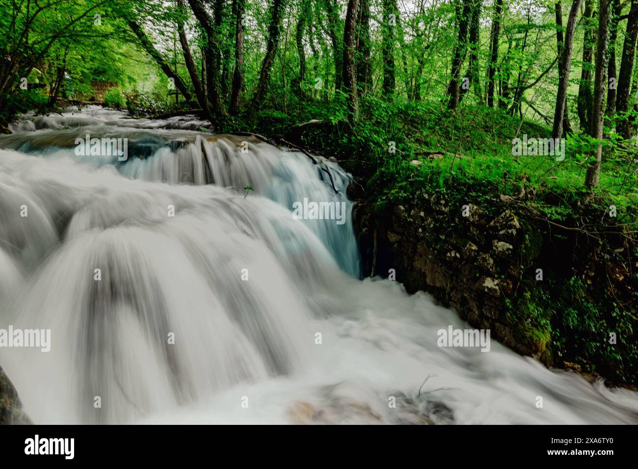 A waterfall cascading over rocks in a lush forest setting with vibrant ...