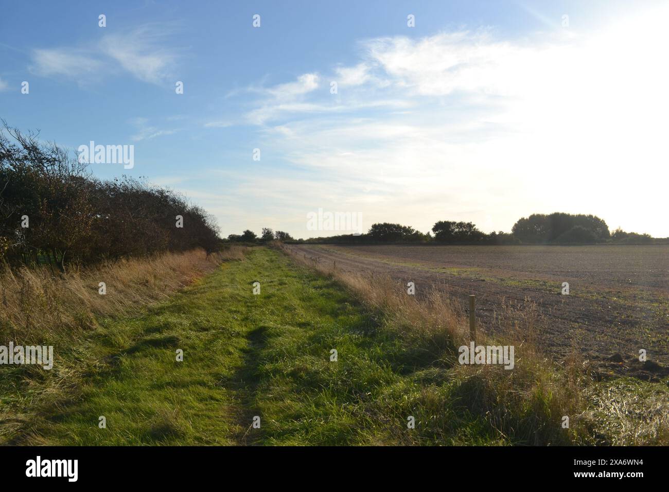 Empty field path hi-res stock photography and images - Alamy
