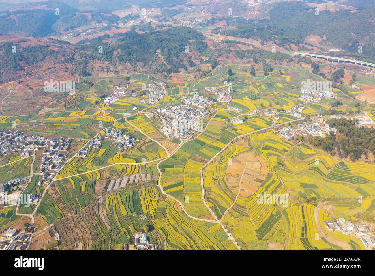 Green lush fields agriculture hi-res stock photography and images - Alamy