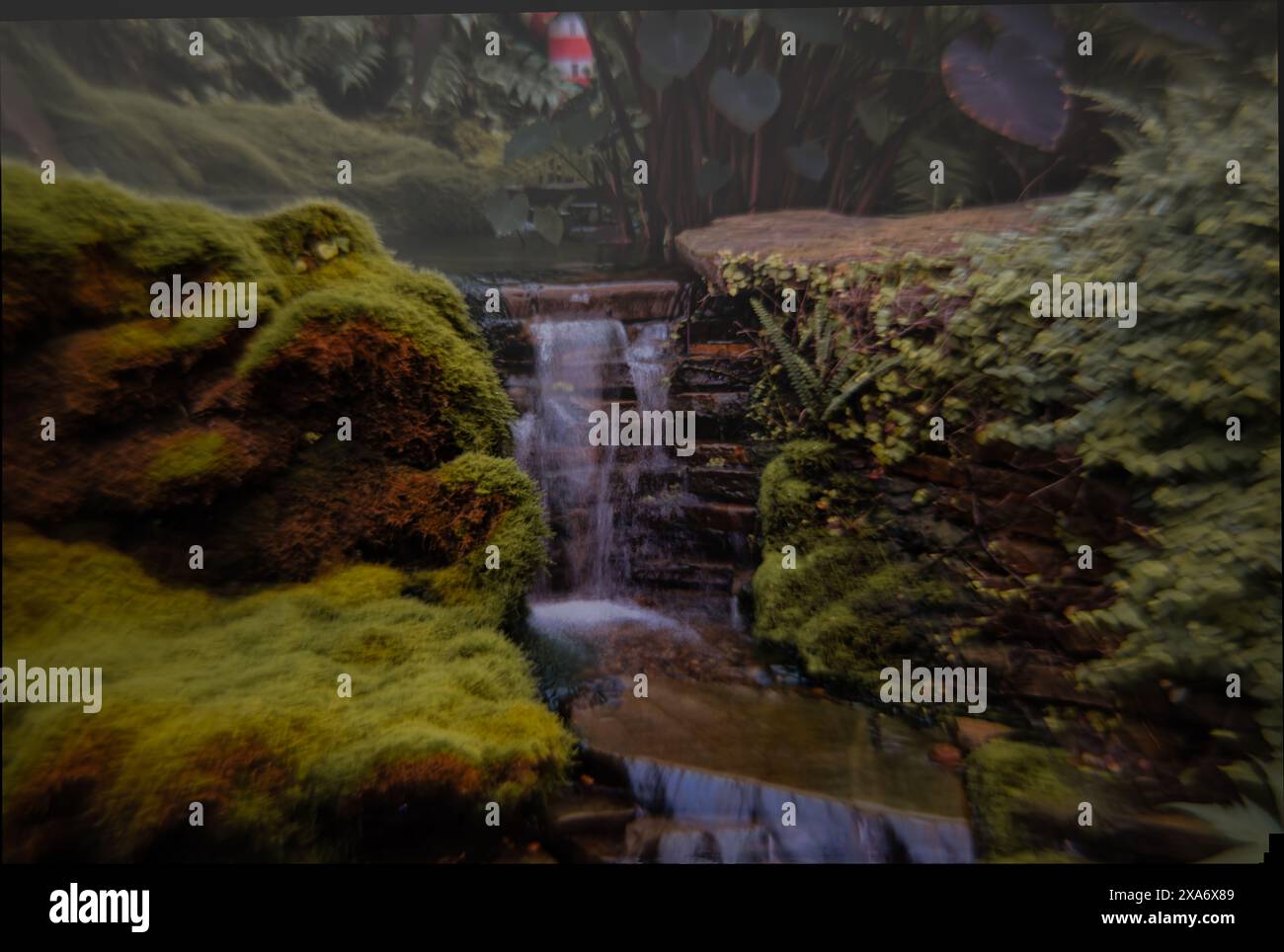 The water flowing over moss, with rock and tree in background Stock ...