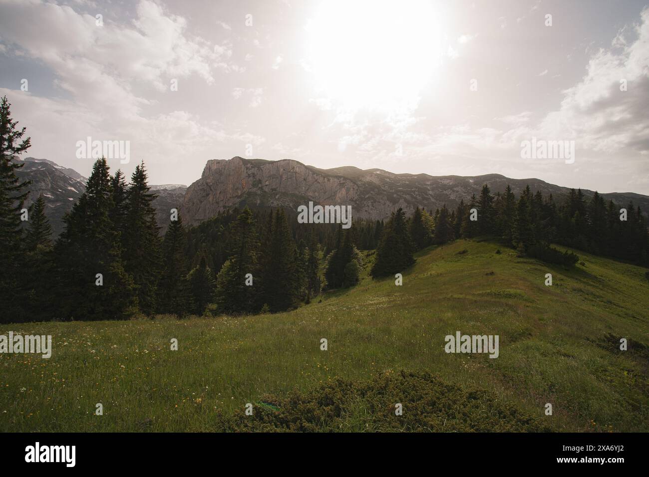 Sunlight gleam hi-res stock photography and images - Alamy