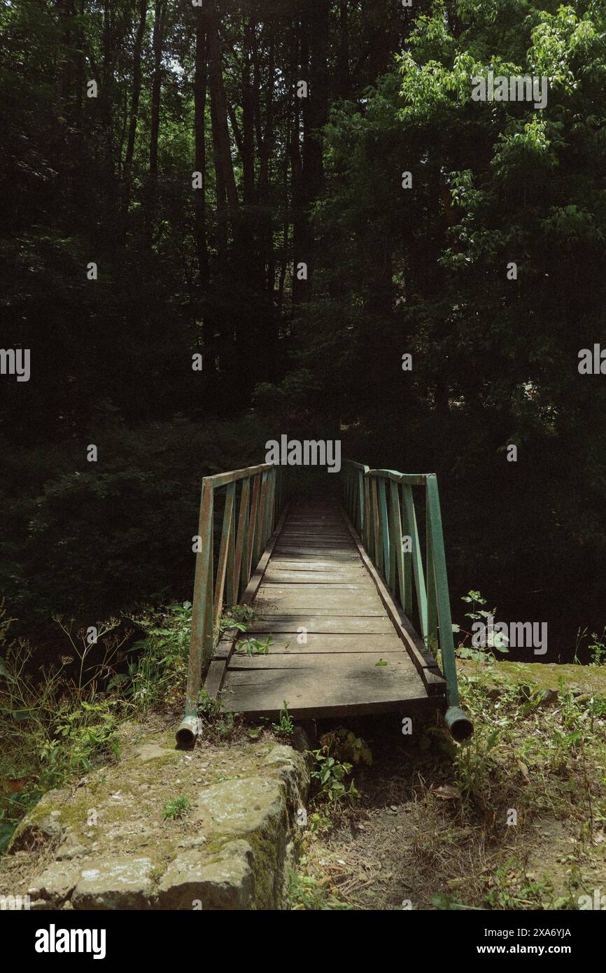 A small bridge spanning over a body of water with trees on both sides ...