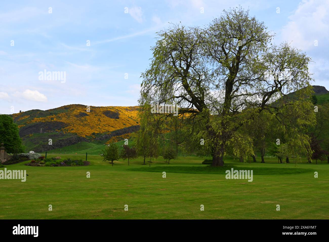 A scenic landscape with trees and rolling hills on both sides of a ...