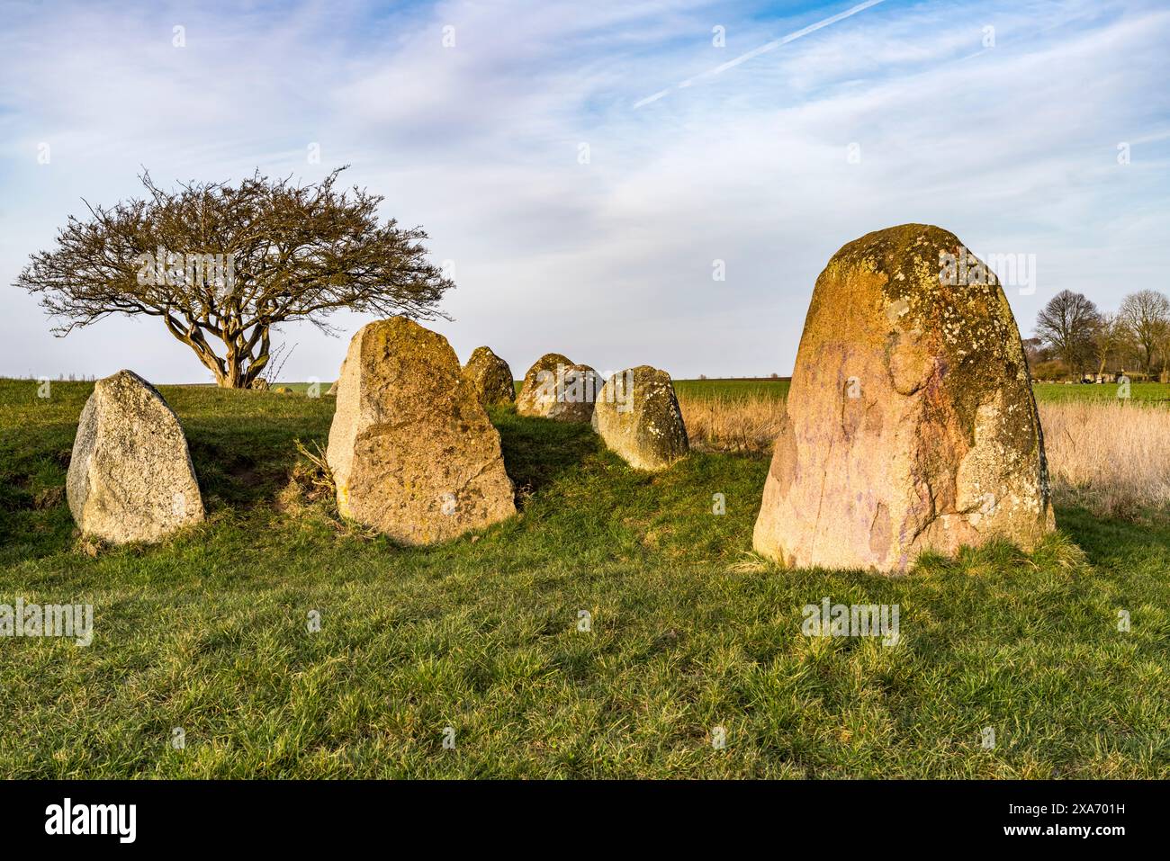 The megalithic tomb Nobbin, Putgarten, Ruegen Island, Mecklenburg ...