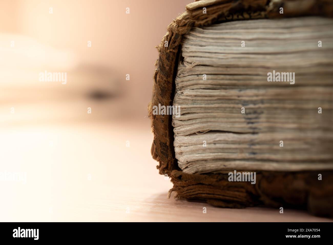 A close-up of an old, frayed book's spine and pages, showing its ...