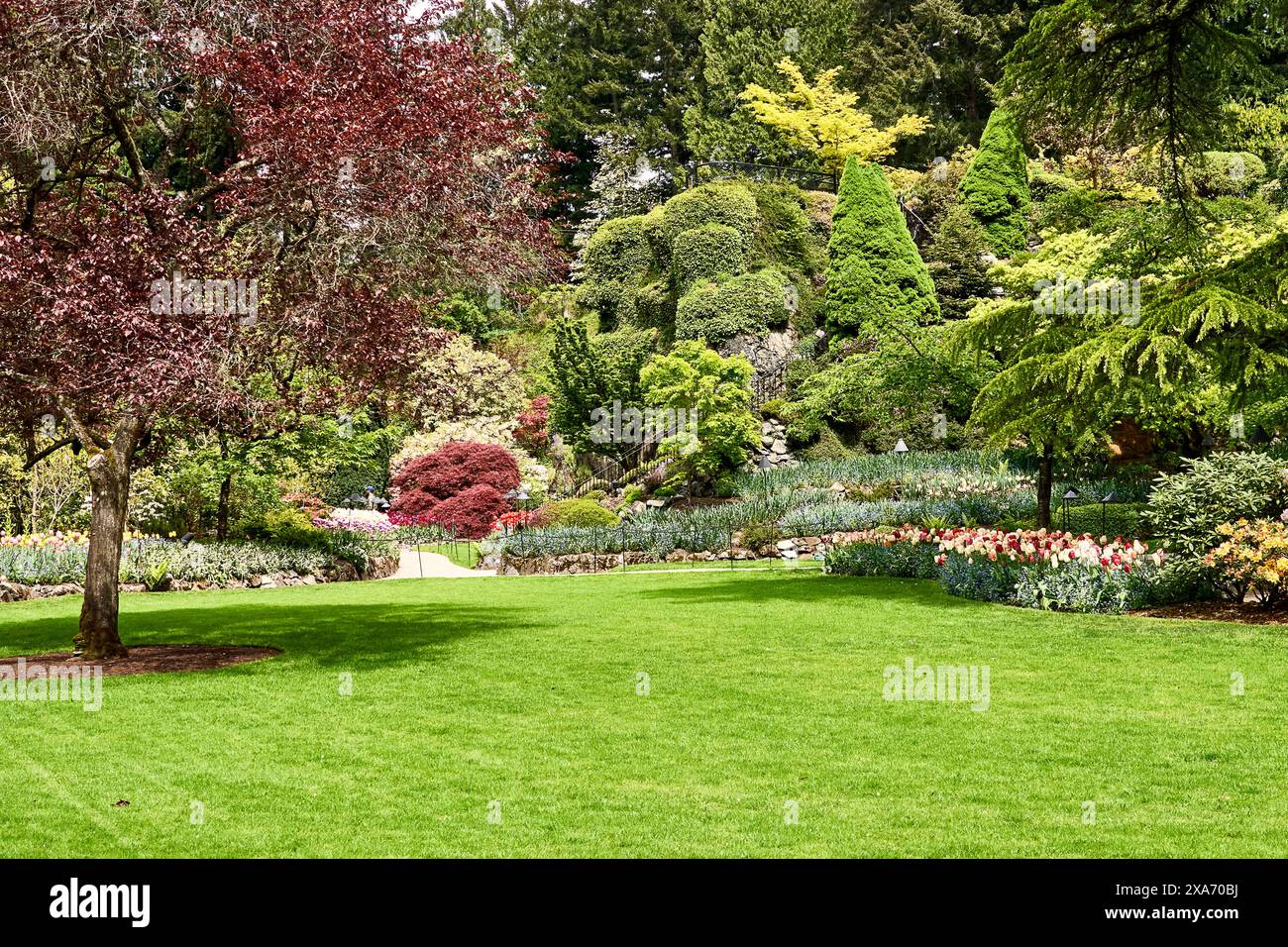 View of the colorful trees and flower beds at the Butchart Gardens ...
