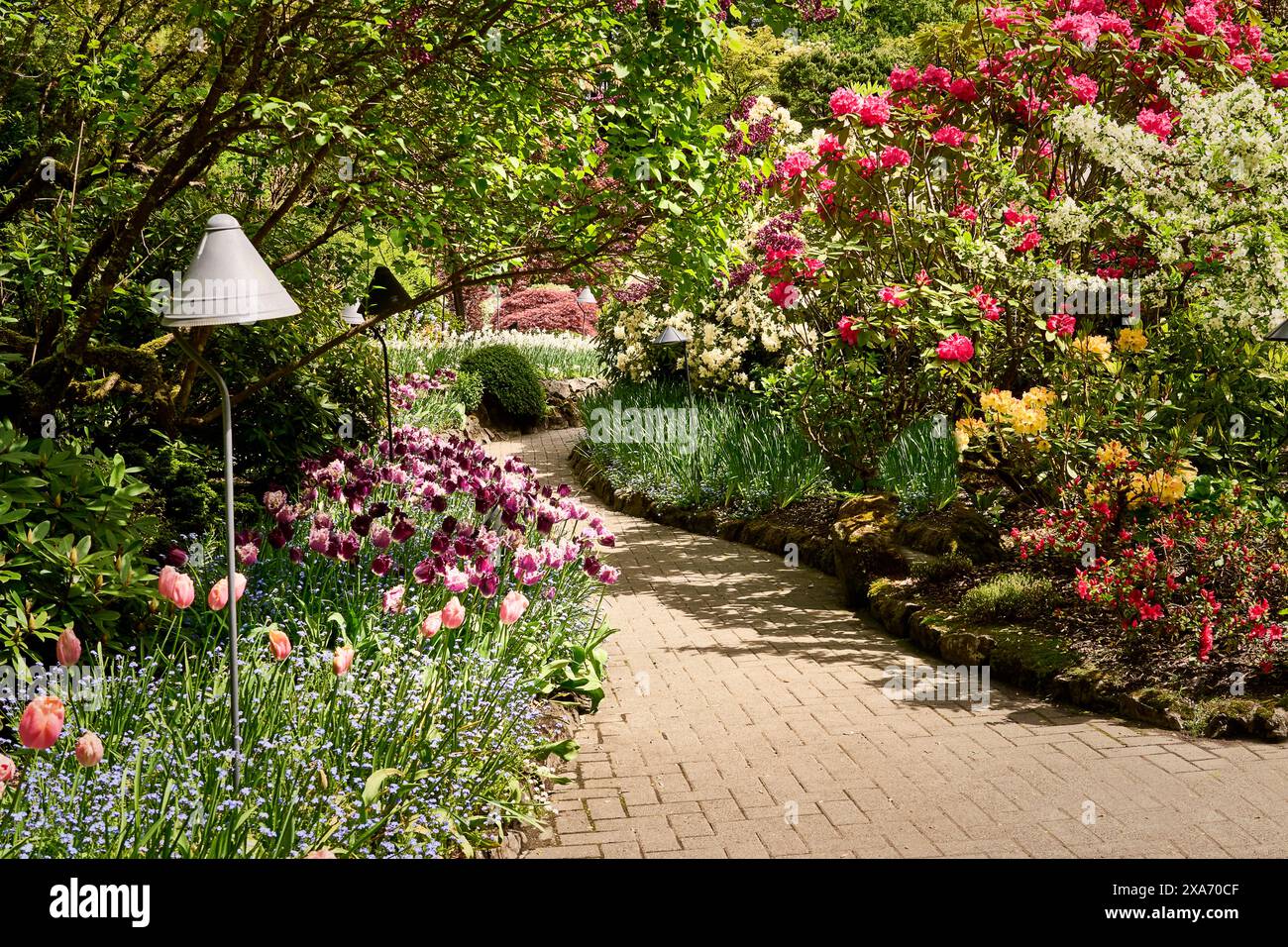 A path among bright spring flowers in the sunken garden, Butchart ...