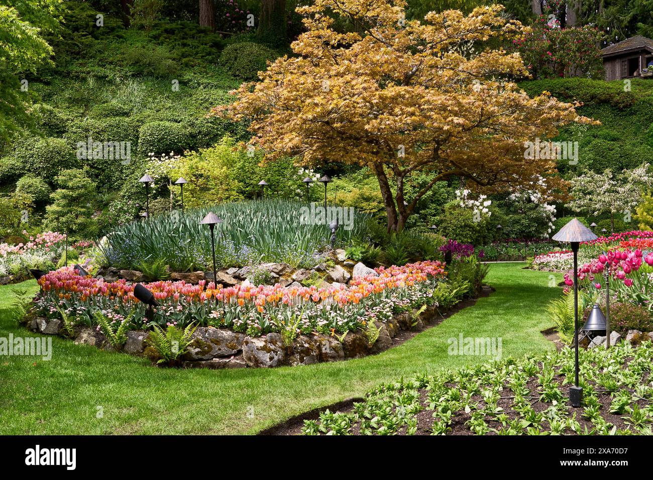 View of the colorful trees and spring flower beds in the sunken garden ...