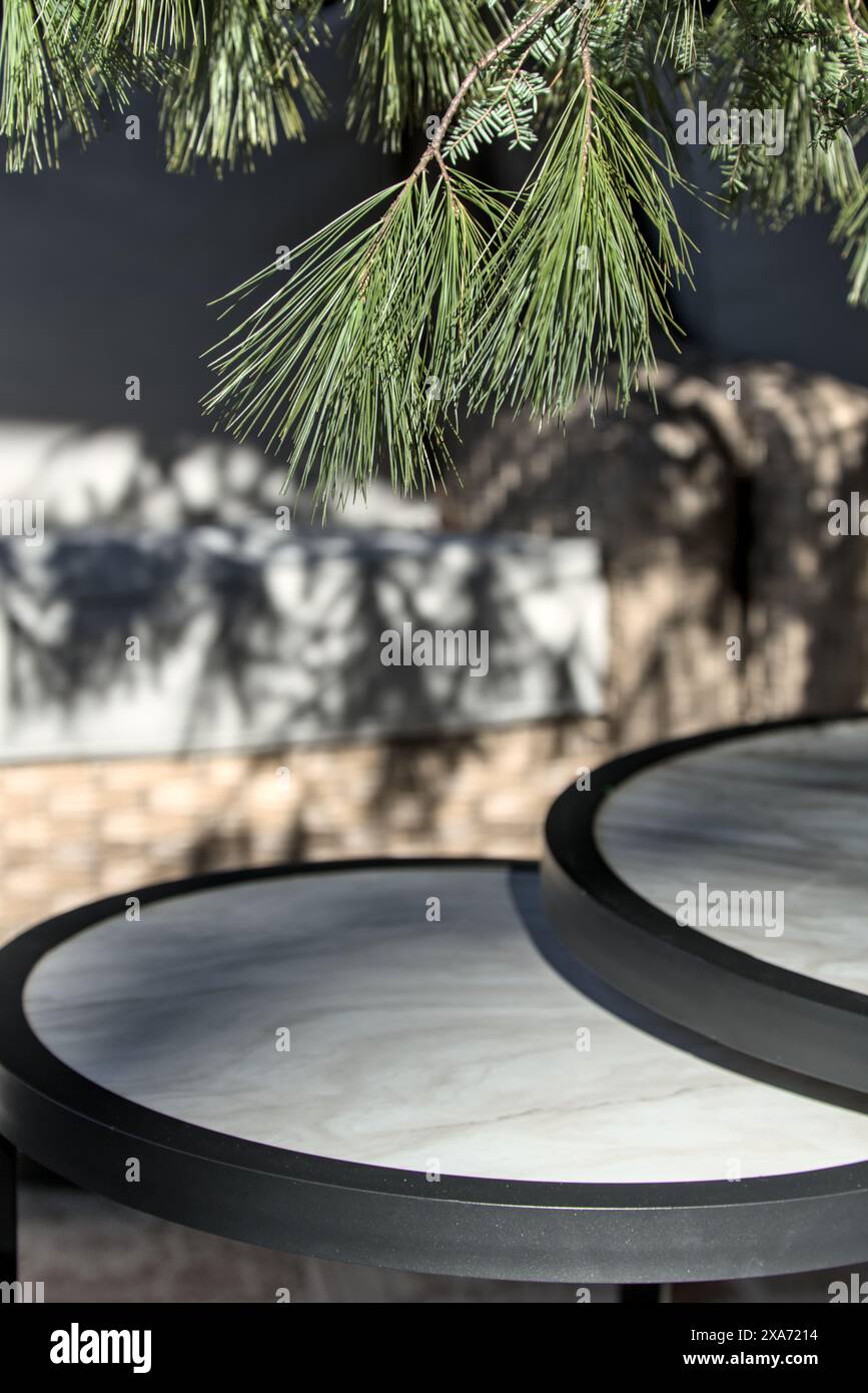 nested marble tables with black border and pine needle branch shadow ...