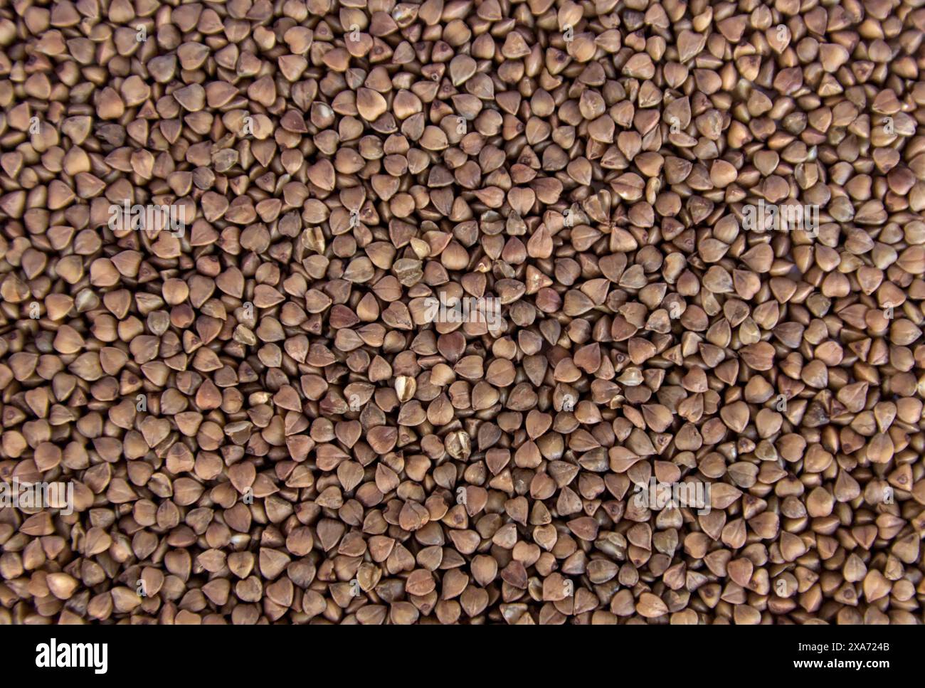 European grain hi-res stock photography and images - Alamy