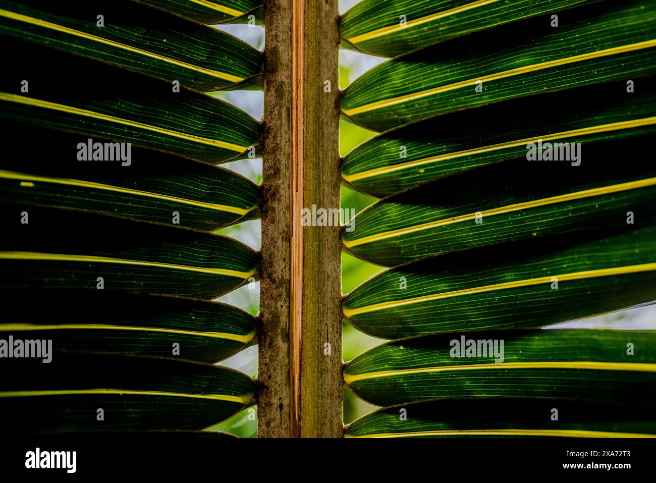 Adjacent images hi-res stock photography and images - Alamy