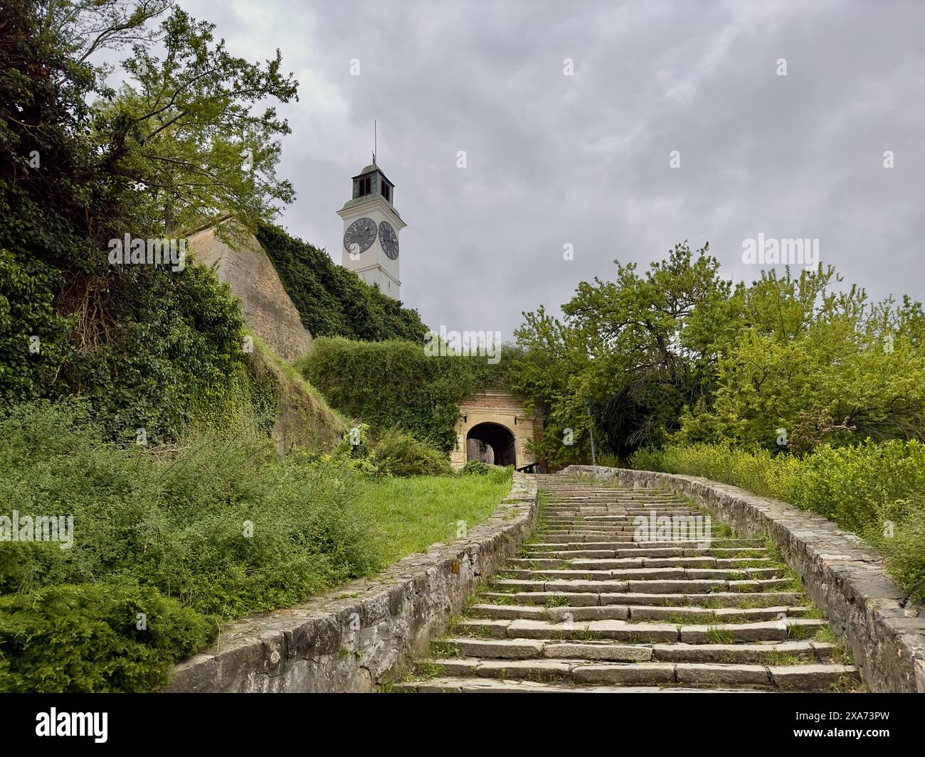 Stone steps to clock tower amidst lush greenery Stock Photo - Alamy