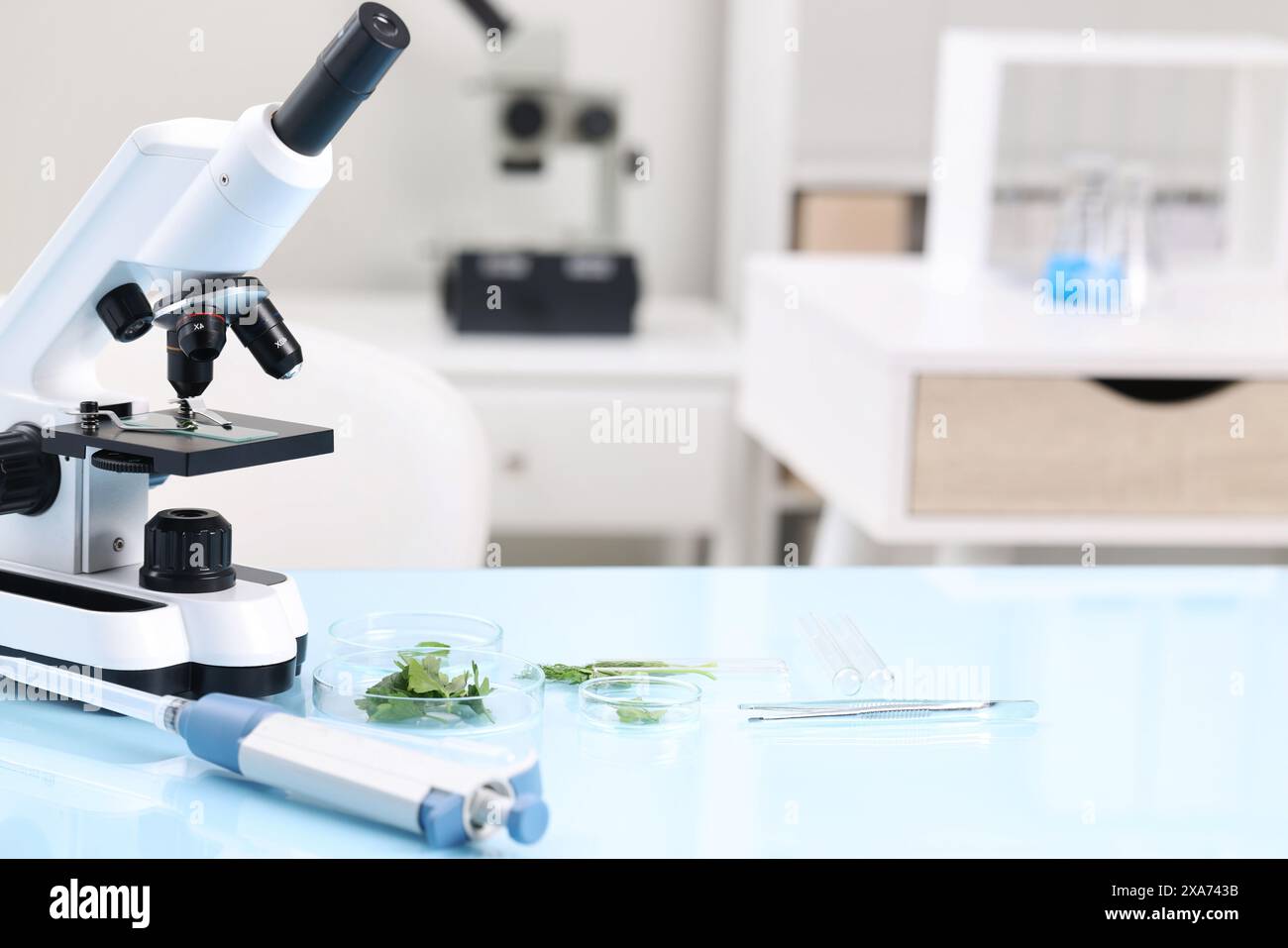 Food quality control. Microscope, petri dishes with herbs and other ...