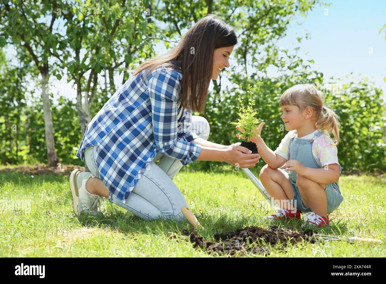 Happy caucasian daughter planting tree hi-res stock photography and ...