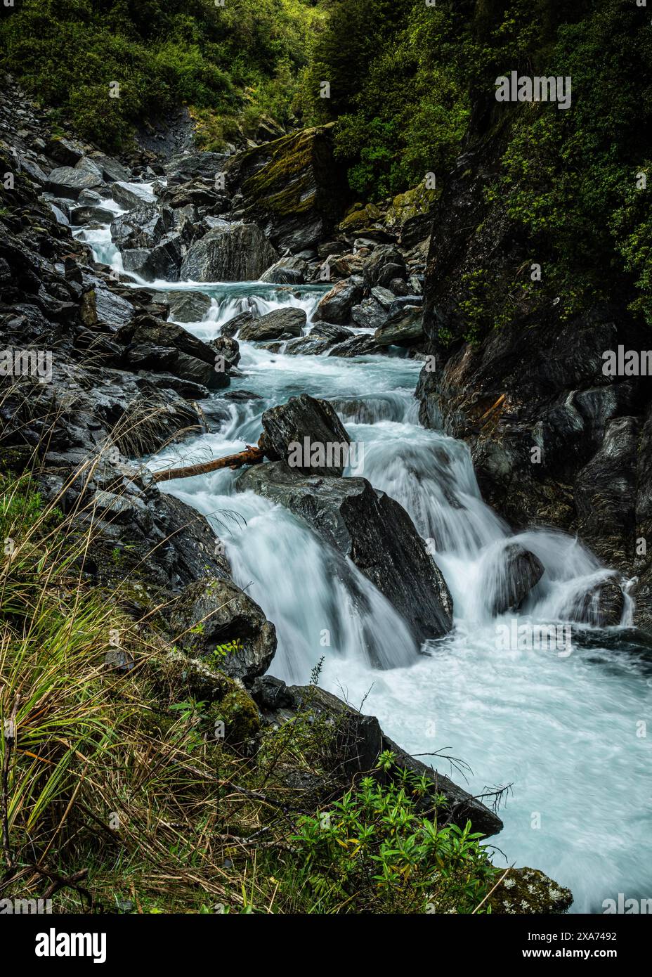 Haast River at the Gates of Haast Stock Photo - Alamy