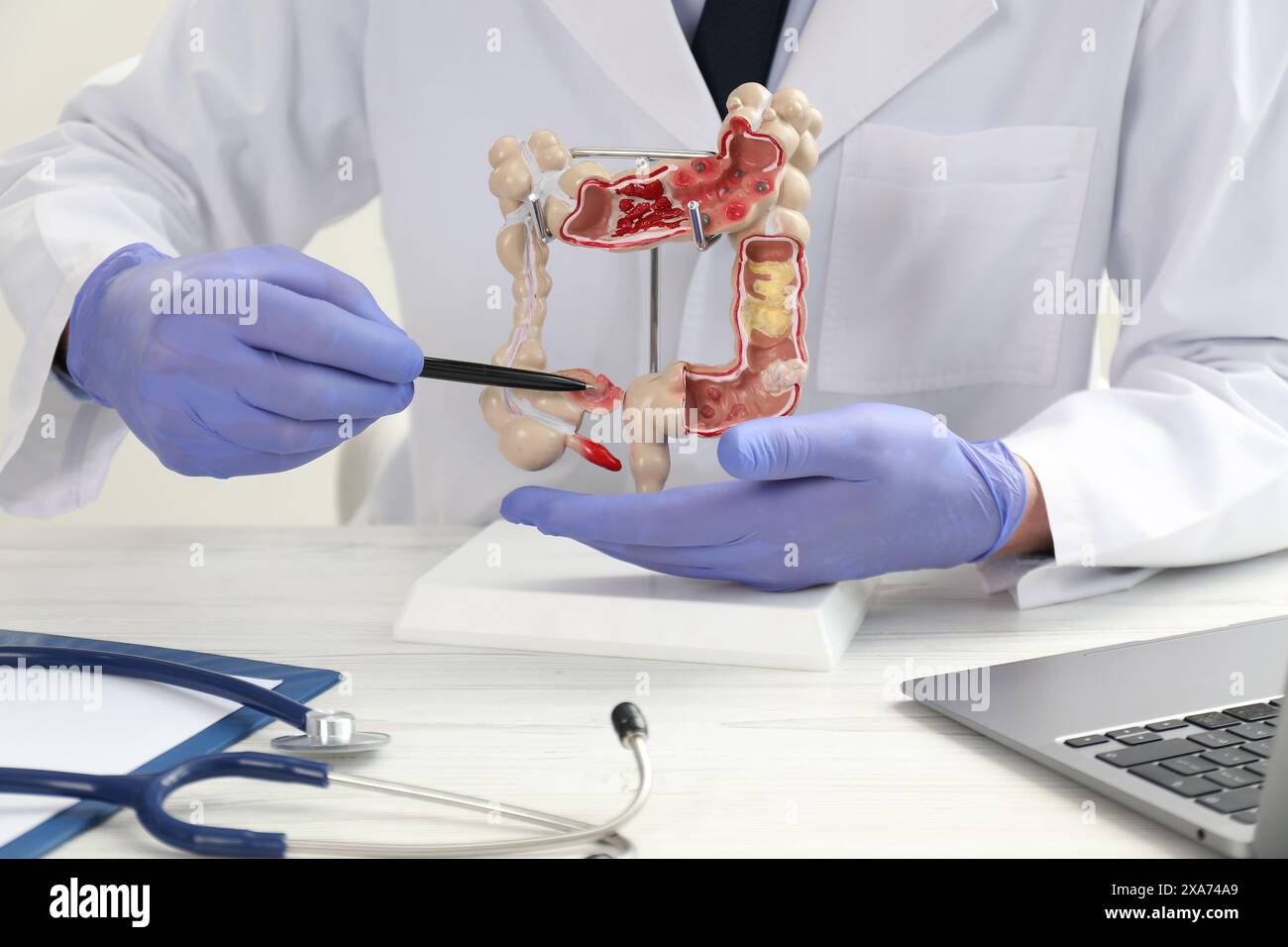 Doctor showing model of large intestine at white table, closeup Stock ...