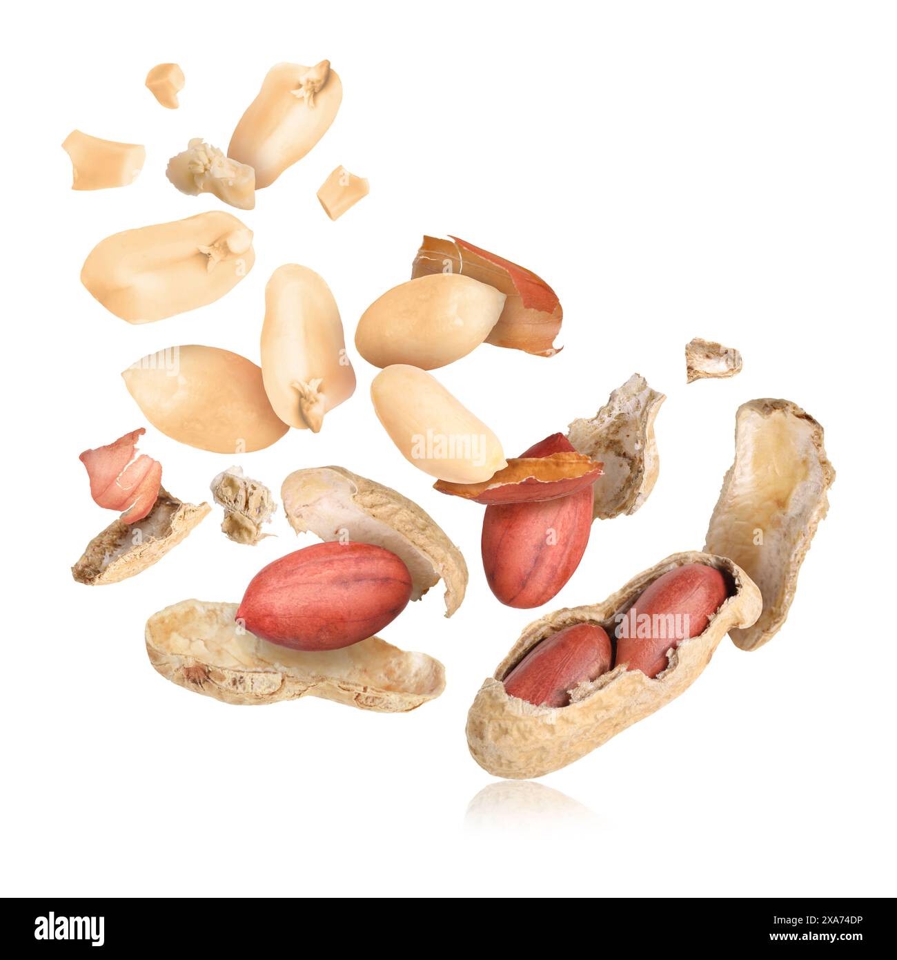 Peanuts and crushed pods in air on white background Stock Photo - Alamy