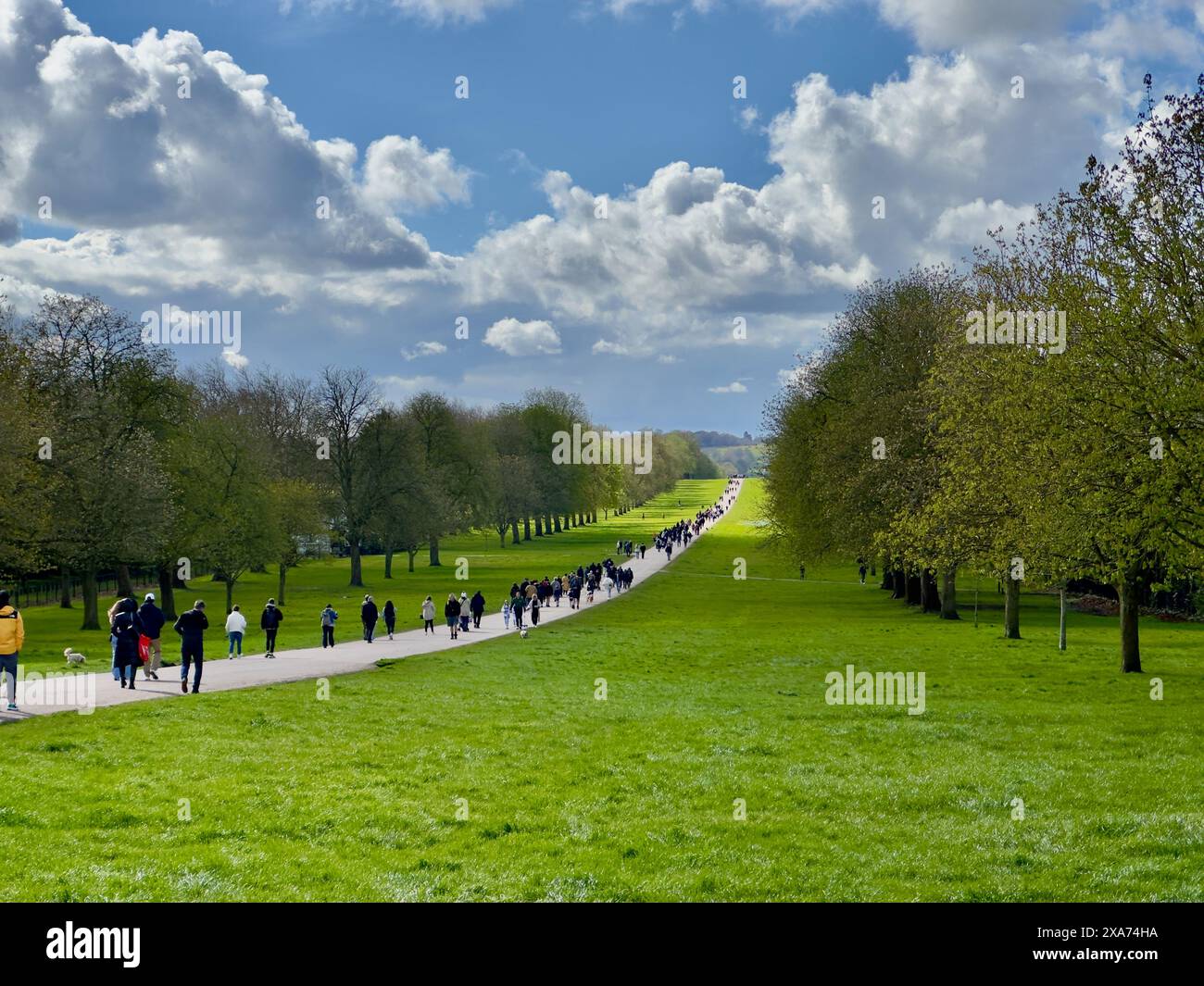 A group of people walking in a line on a leftward path Stock Photo - Alamy