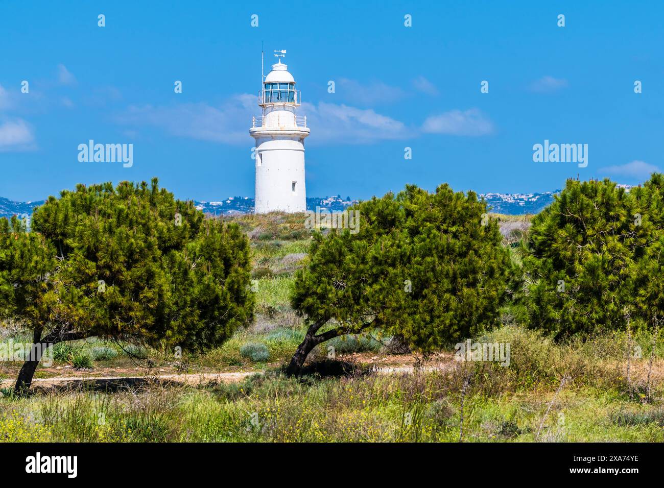 Archaeological site, Paphos Mosaics, Paphos, Paphos District, Republic ...