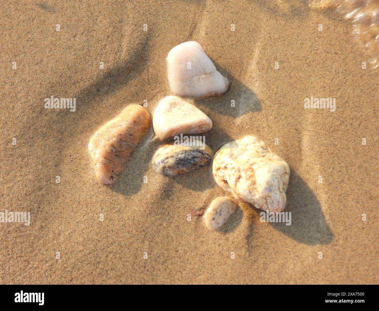 Sand dunes with assorted stones and pebbles scattered across the ...