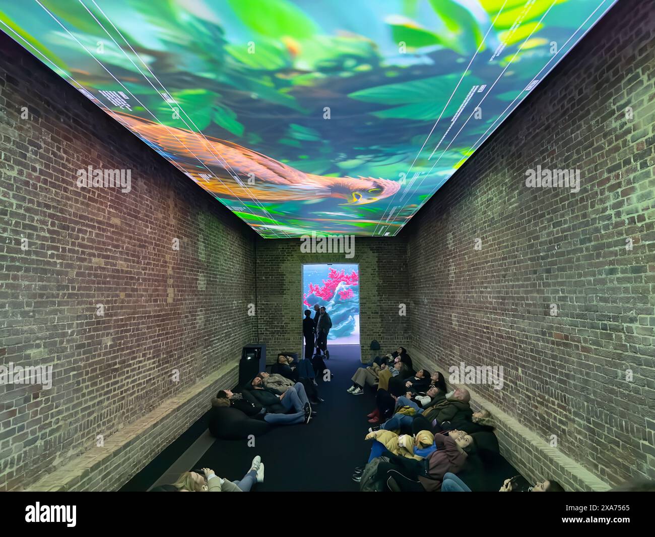 Group of people watching video wall projection Stock Photo - Alamy