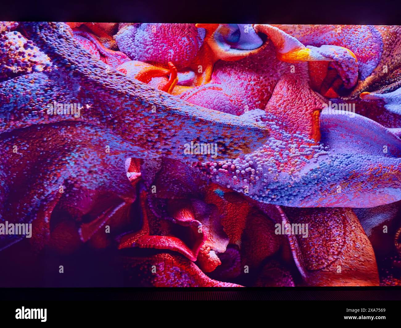 A Vibrant abstract coral design Stock Photo - Alamy