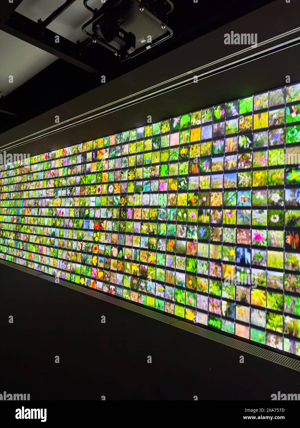 Interactive wall display hi-res stock photography and images - Alamy