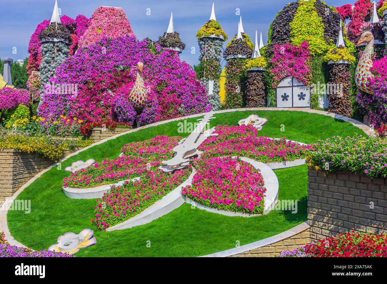 The Dubai Miracle Garden, colorful flower park, United Arab Emirates ...