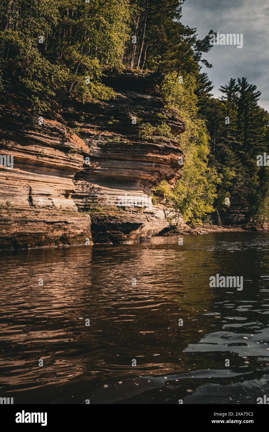 Canoe trees hi-res stock photography and images - Alamy