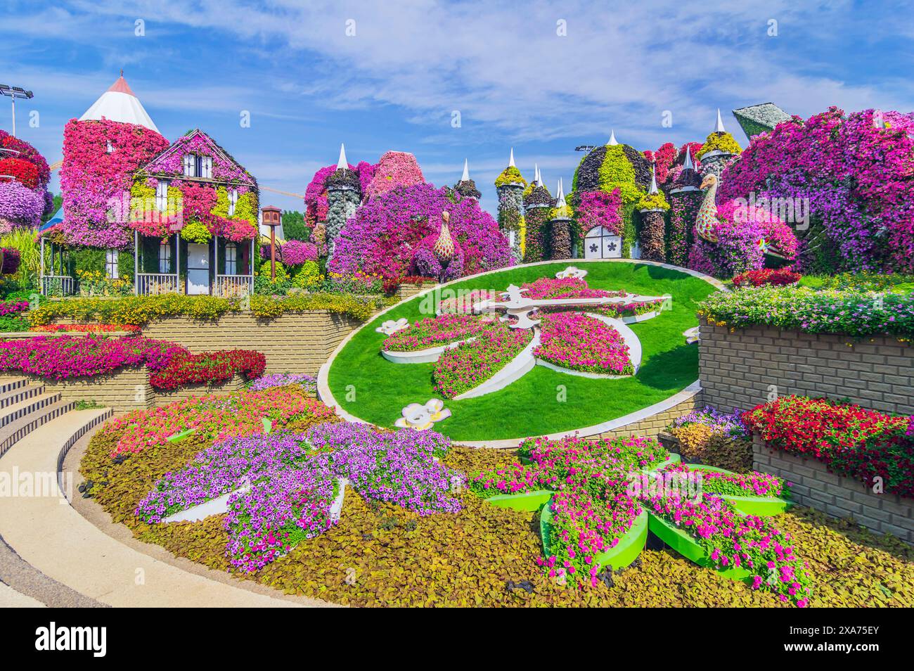 The Dubai Miracle Garden, colorful flower park, United Arab Emirates ...