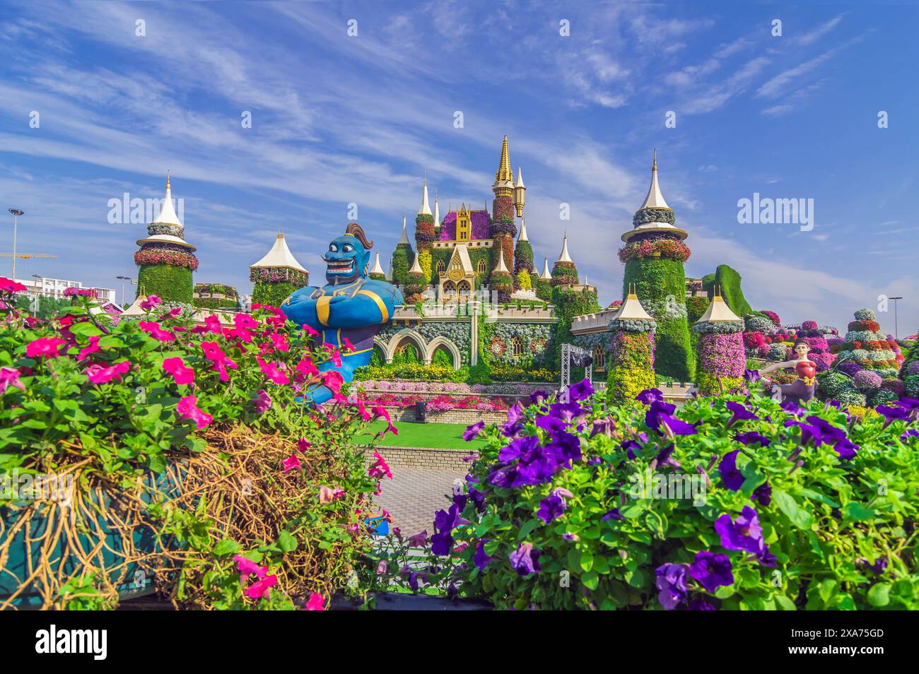 The Dubai Miracle Garden, colorful flower park, United Arab Emirates ...