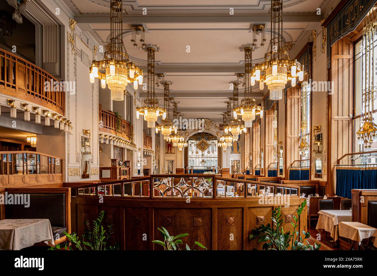 A luxury restaurant interior with tables, chairs, and potted plants in ...